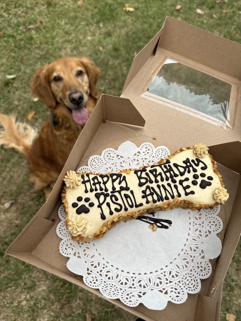 Dog Trainers Glenpool OK | Training for your puppy