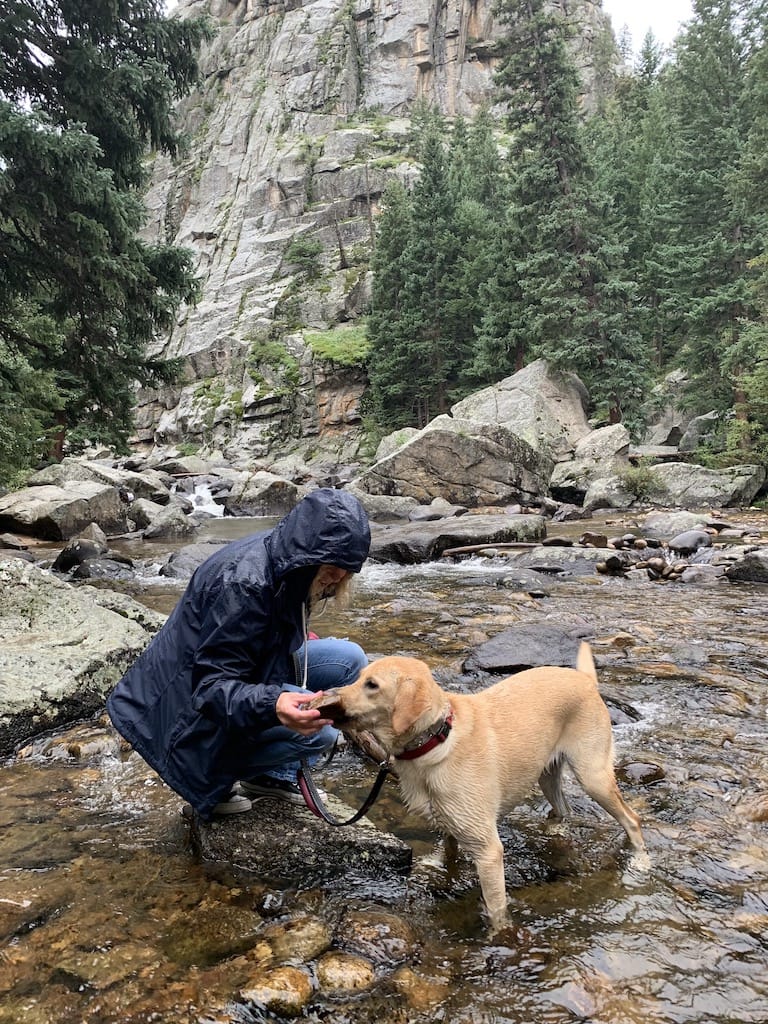 Dog training in Owasso | Love for Dog Training