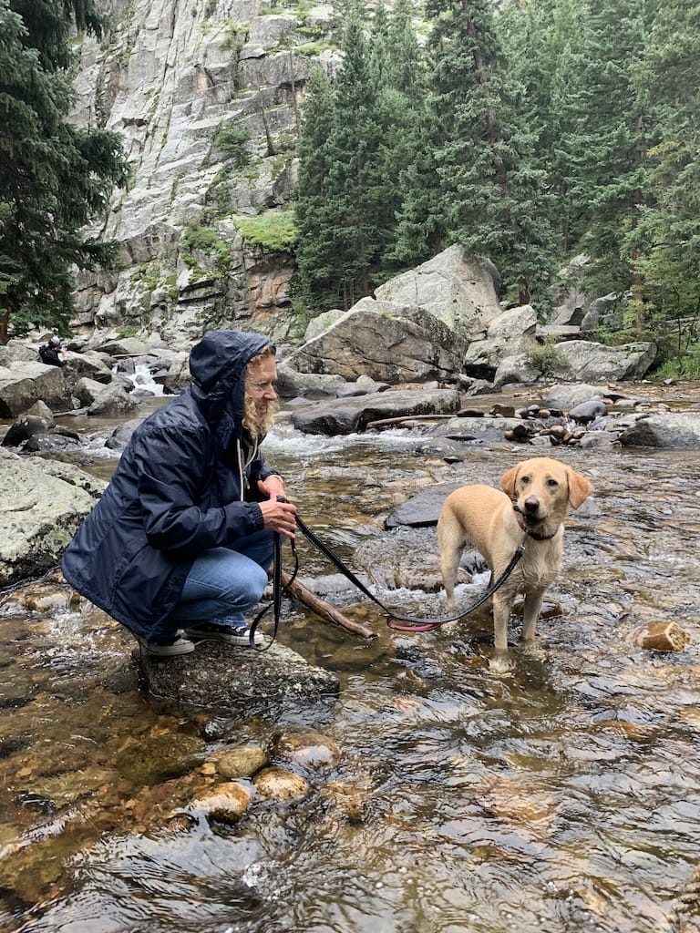 Glenpool Dog Trainer | this training is definitely amazing