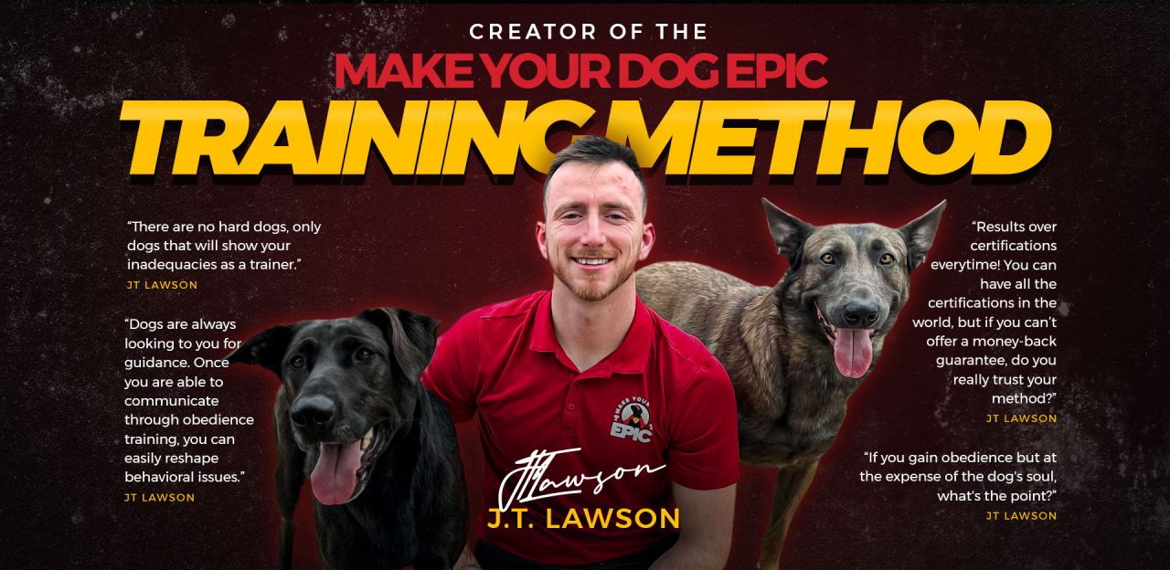 Make Your Dog Epic Dog Training Method | Training & Methodology