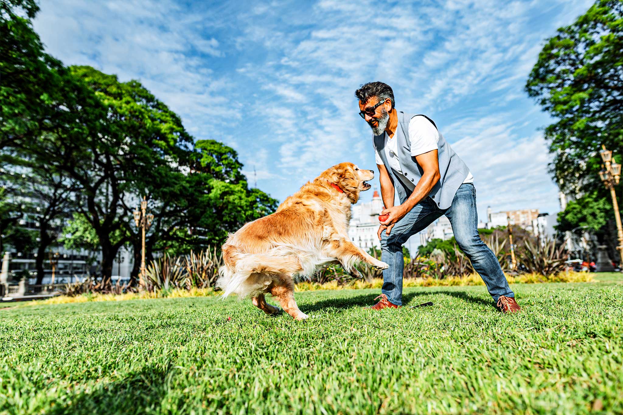 Ogden, Utah Board & Train | There is amazing dog training for you