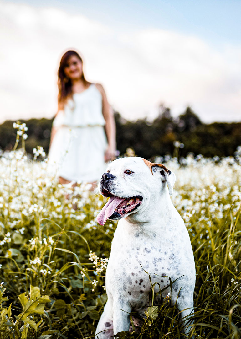 Tulsa Dog Training | 50 Cents for Your First Dog Training Tulsa Lesson