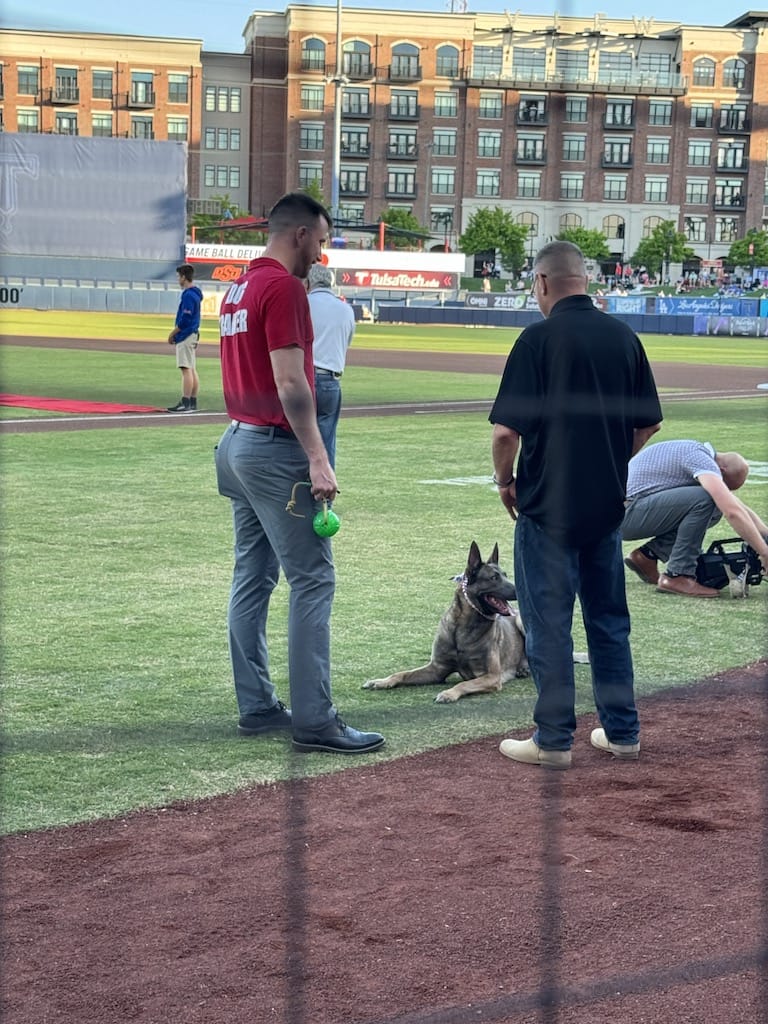 Tulsa OK Dog Trainers | left, and right dogs are getting trained