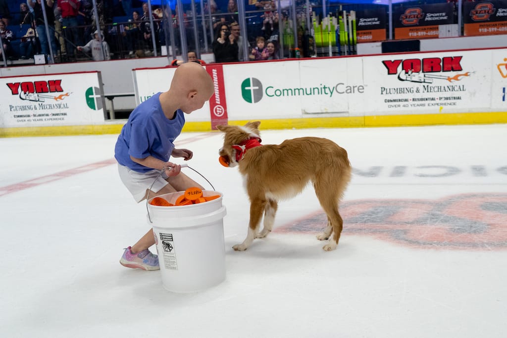 Tulsa training your dog to play with kids Tulsa | Helping For Life