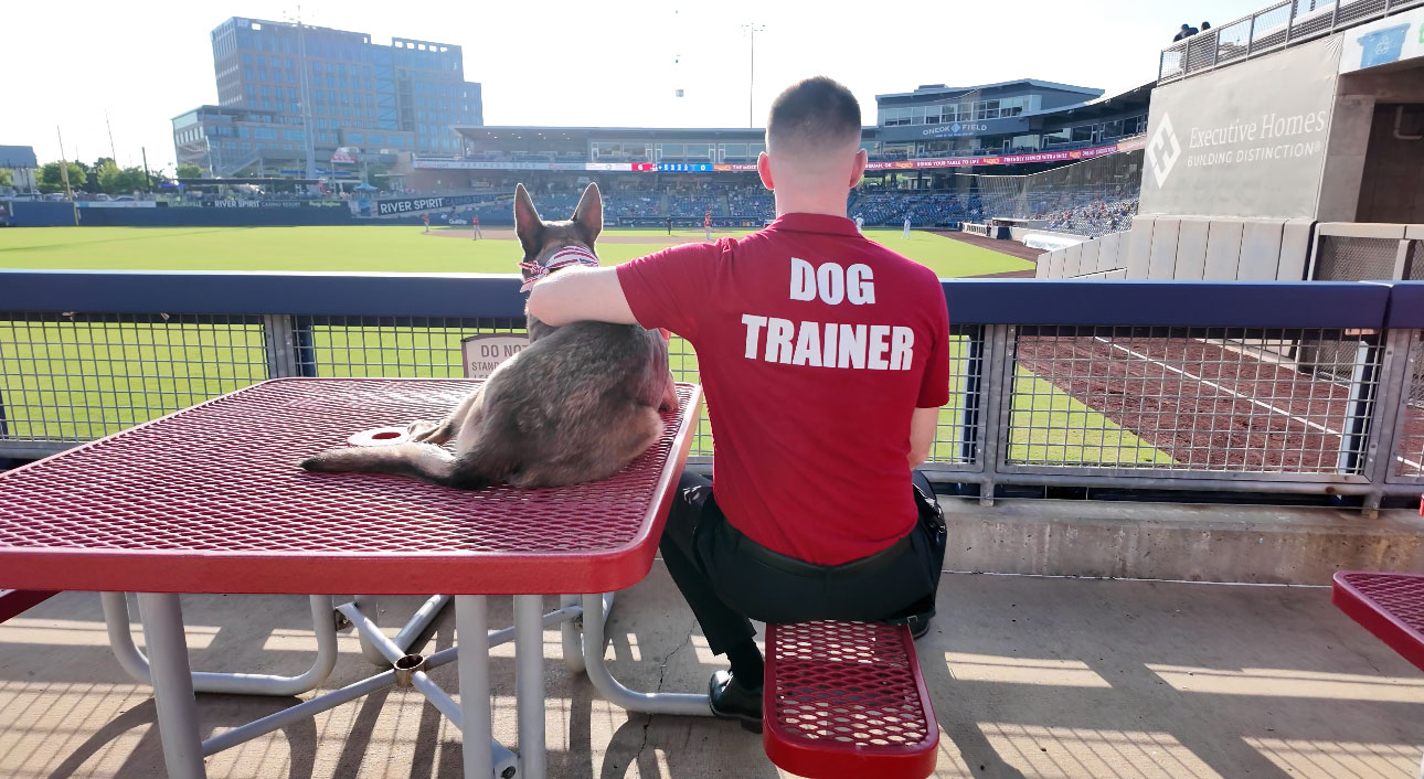 best Edmond dog trainers | Corrected Dogs